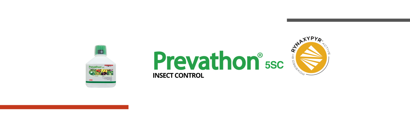 Prevathon® 5SC Insect Control